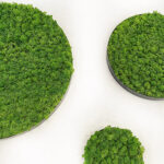 Mosvæg fra GAMST1903 - Bring naturen indenfor med en smuk mosvæg!